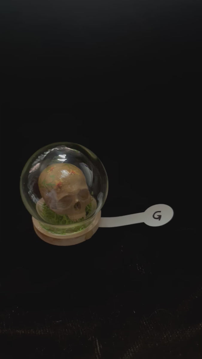 Painted Miniature Human Skull Diorama G – Alternate Empire