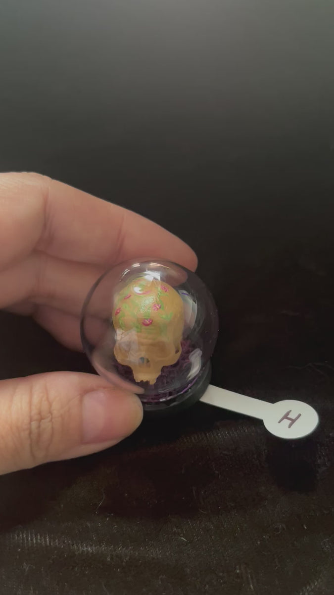 Painted Miniature Human Skull Diorama H – Alternate Empire